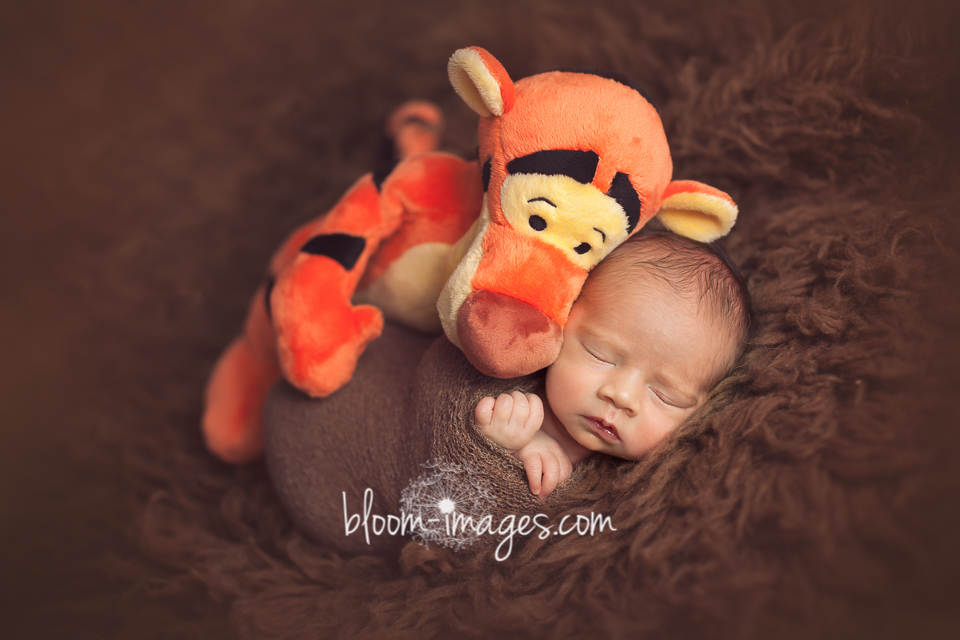 Brand New Baby Boy - Arlington VA Newborn Photography - Newborn ...
