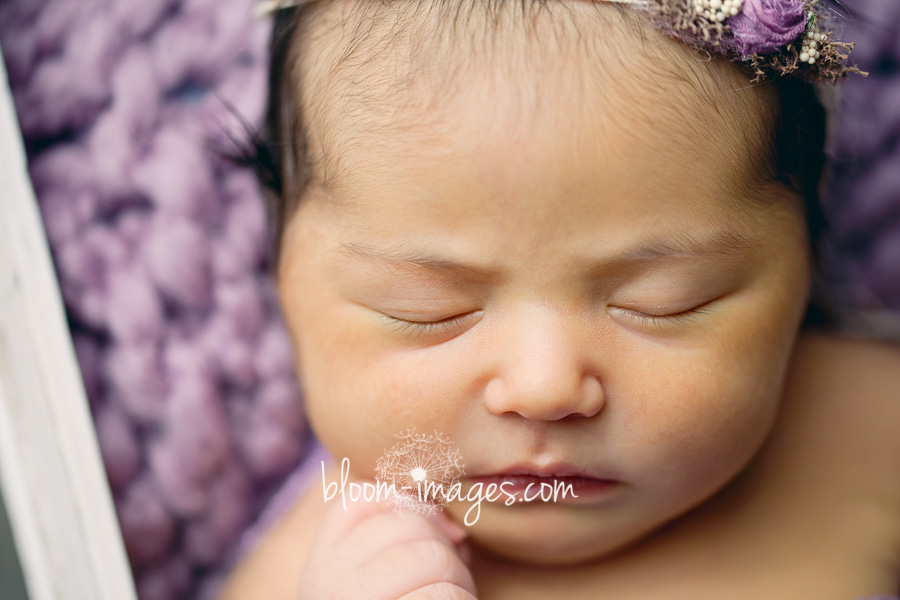 Newborn-Photo-Herndon-VA-close-up-1 - Newborn Photographer Northern VA ...