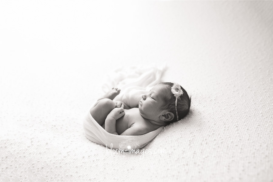 Baby Sarina – Newborn Photographer in Washington DC - Newborn ...